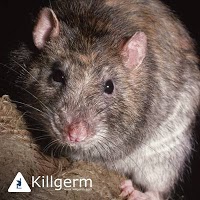 Abate Pest Control in Ashton-under-lyne, Tameside OL5 9JQ